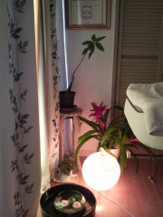 今週のおすすめのお店【サービス】